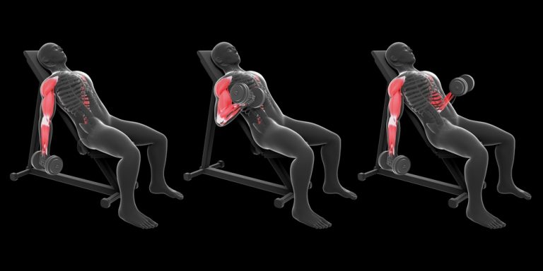 How To Do The Dumbbell Incline Curl Correctly - muscleandstrong.com